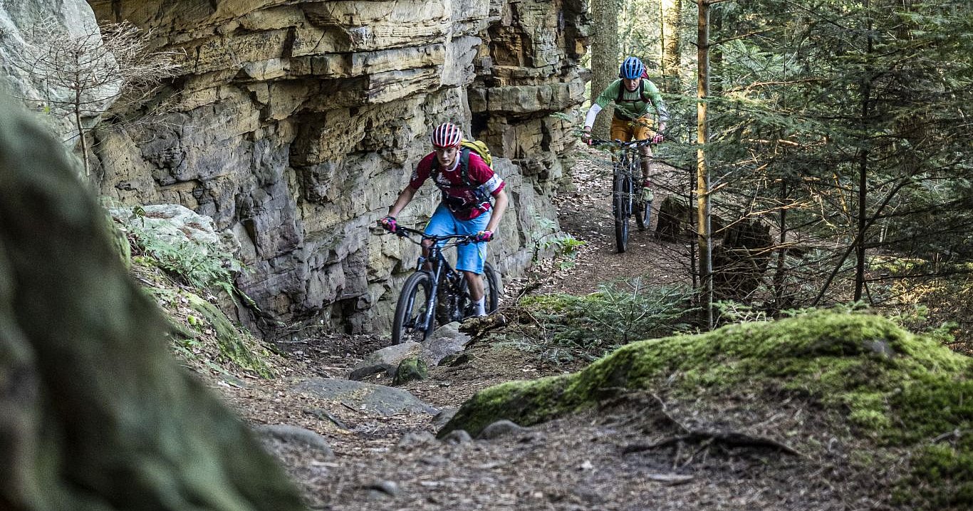 Guided Bike Tours - Mullerthal