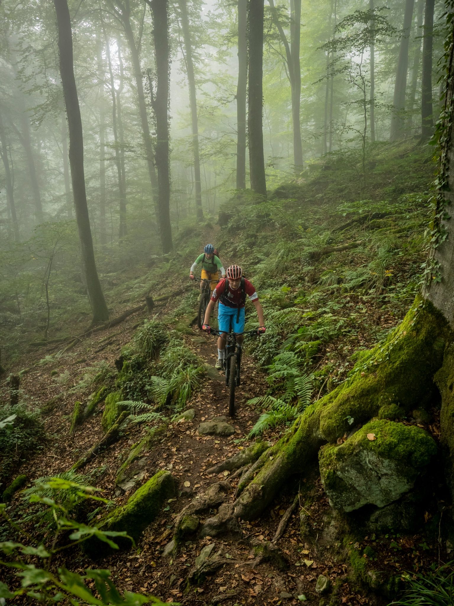 Mountainbikecircuit van Berdorf-Beaufort - Mullerthal
